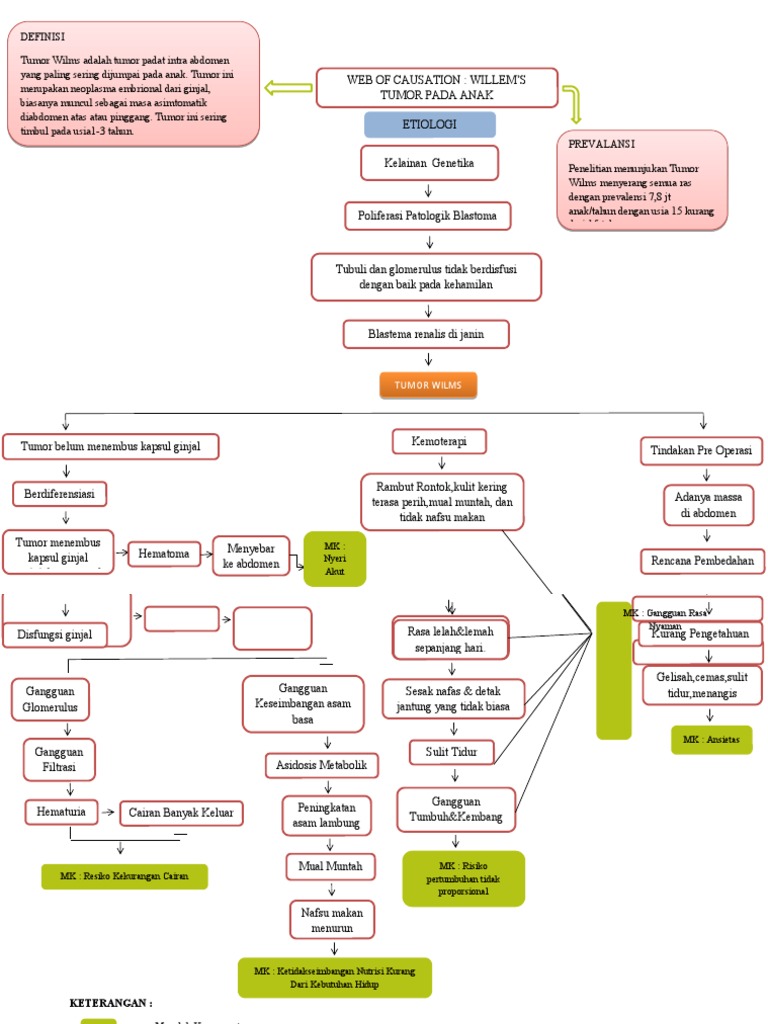 Kelompok 4 - WOC TUMOR WILLEM'S - PTM | PDF