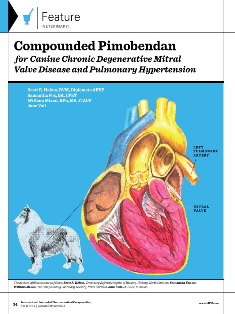 Compounded Pimobendan: Feature | PDF | Heart Failure | Heart
