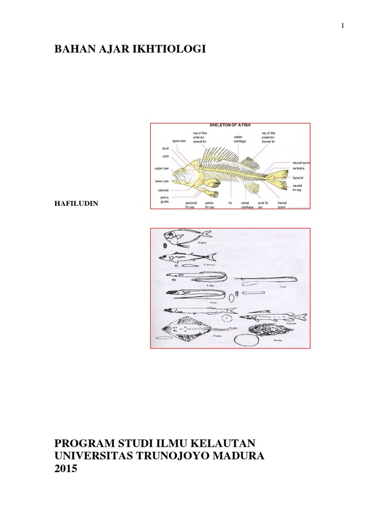 Buku Ajar Ichtyologi (Perkembangan Embrio Ikan 6.2.1-6.2.5) | PDF