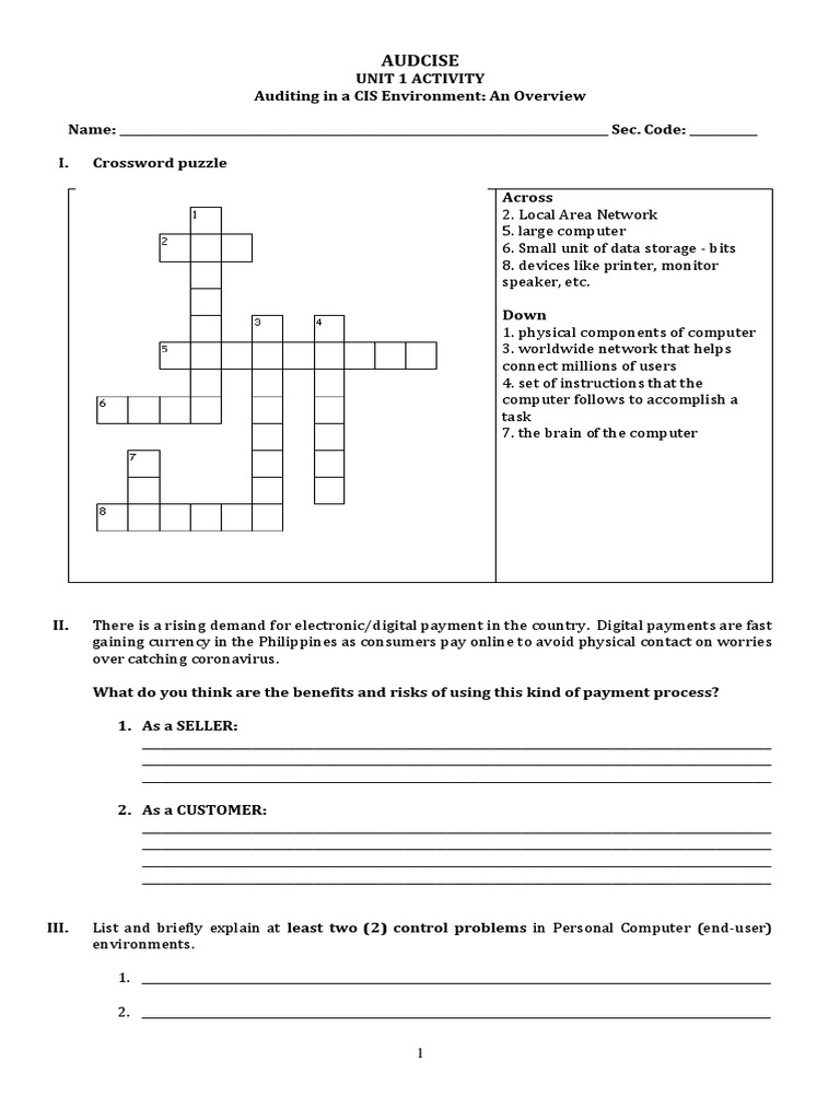AUDCISE Unit 1 Worksheets | PDF | Audit | Computer Network