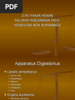 Gambar Alat Reproduksi Sapi Betina | PDF