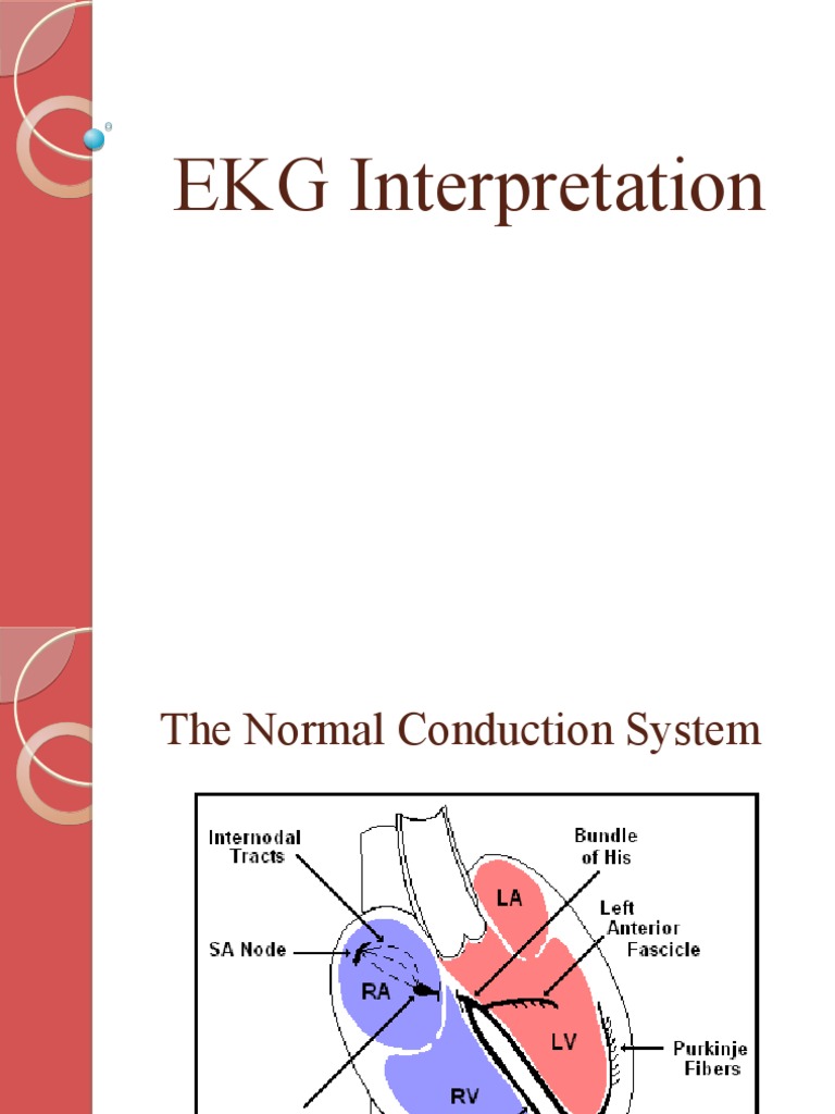 EKG Interpretation | PDF | Electrocardiography | Heart