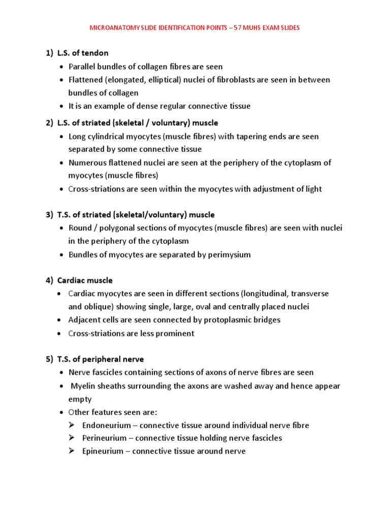 Microanatomy (Histology) - Key Identification Points - 57 MUHS Exam ...