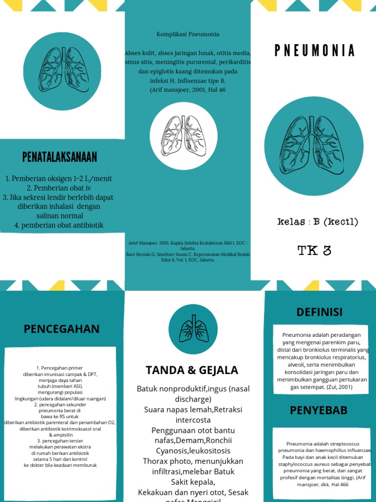 Leaflet Pneumonia | PDF