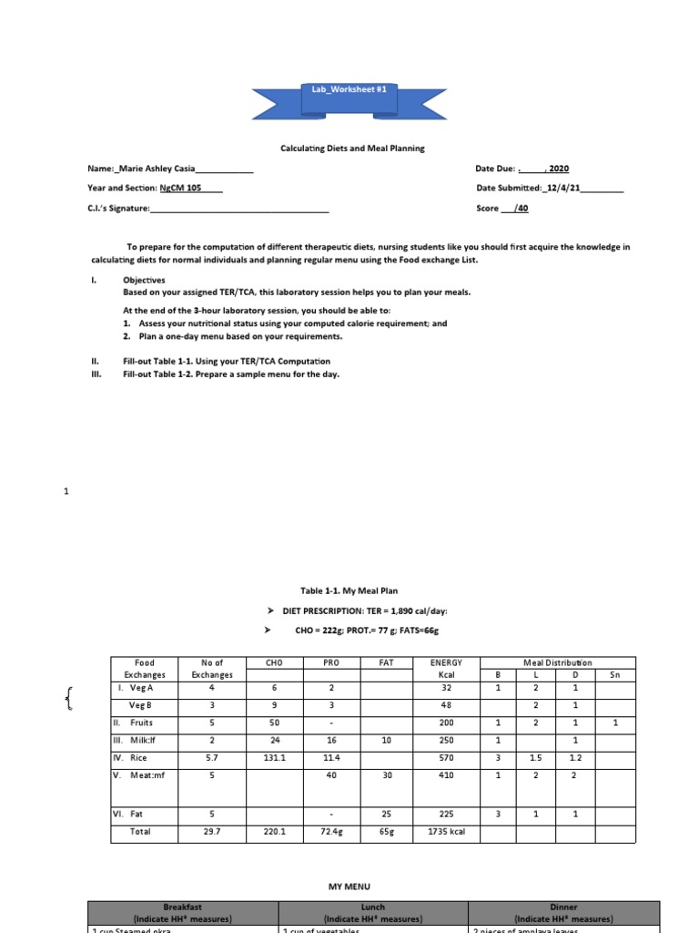 Meal Planning and Diet Calculation Guide | PDF | Healthy Diet | Diet ...