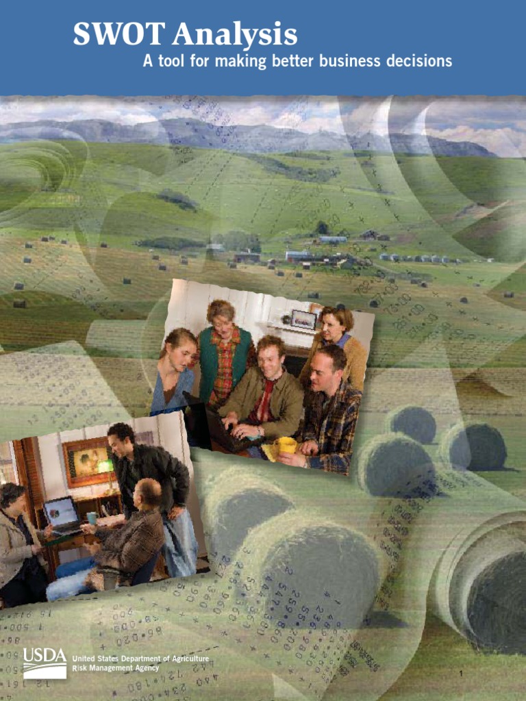 SWOT Analysis Guide | PDF | Balance Sheet | Expense