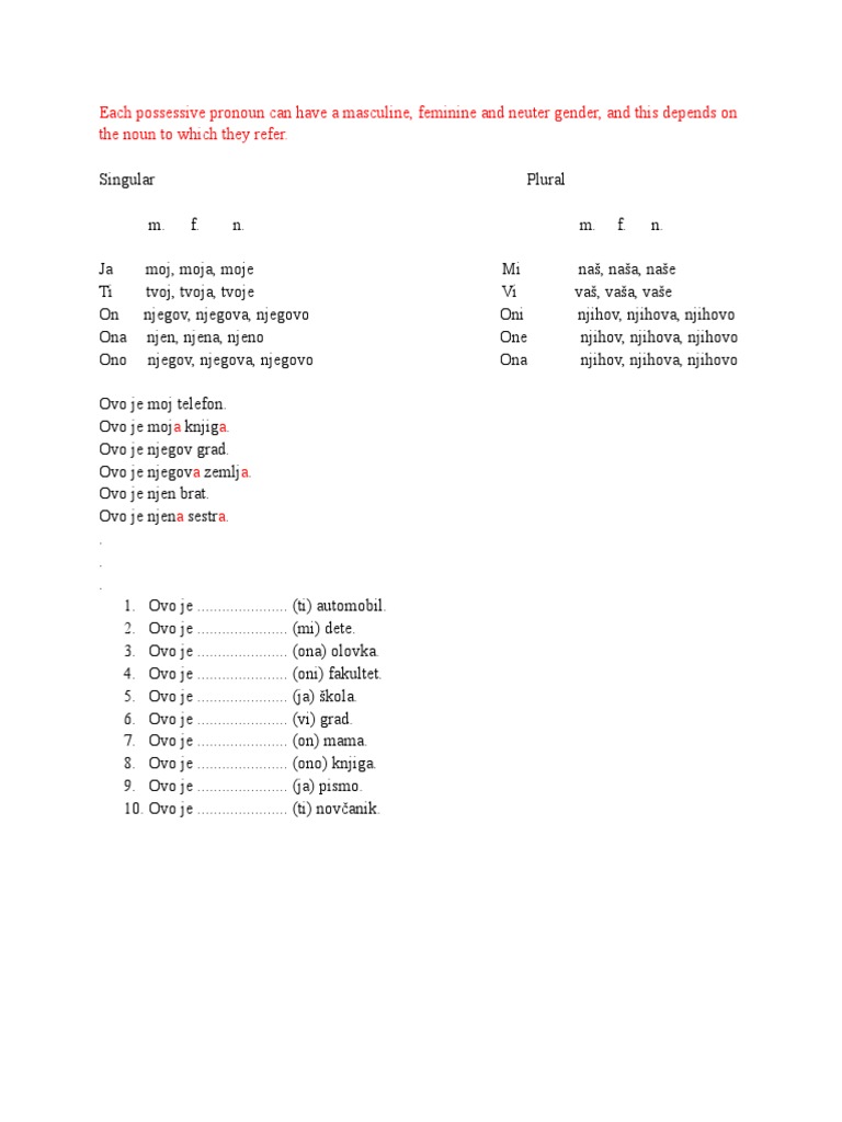 Possessive Pronoun | PDF