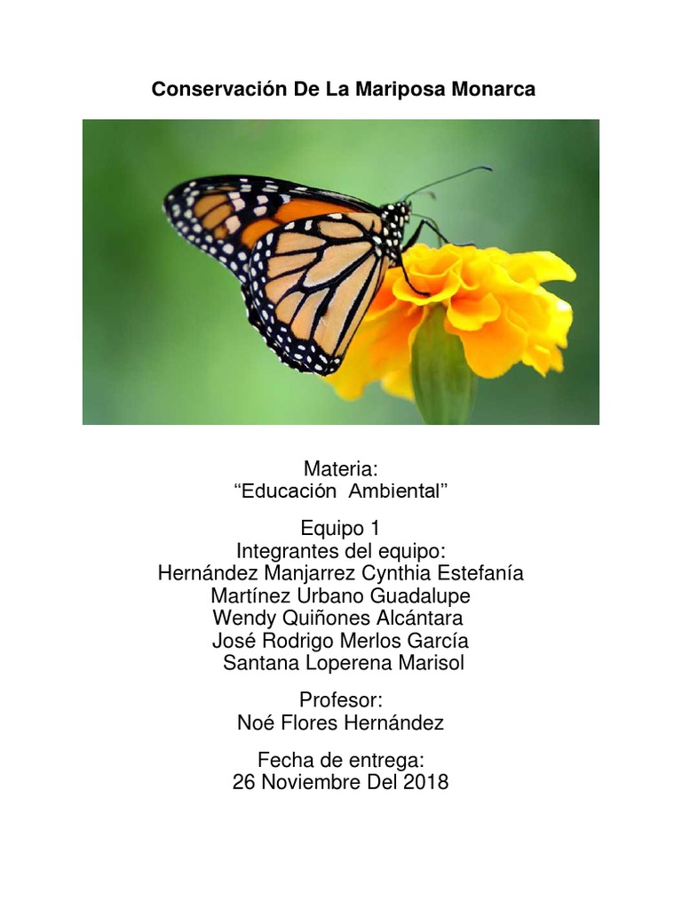 Educación Ambiental: Mariposa Monarca | PDF | Ecología | Entorno natural