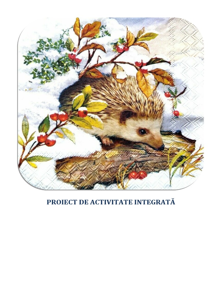 Proiect Didactic Integrat | PDF