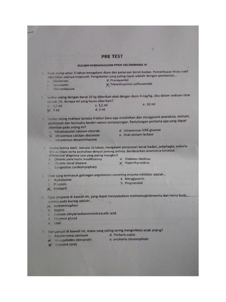 Ujian PPDH Gelombang 4 | PDF