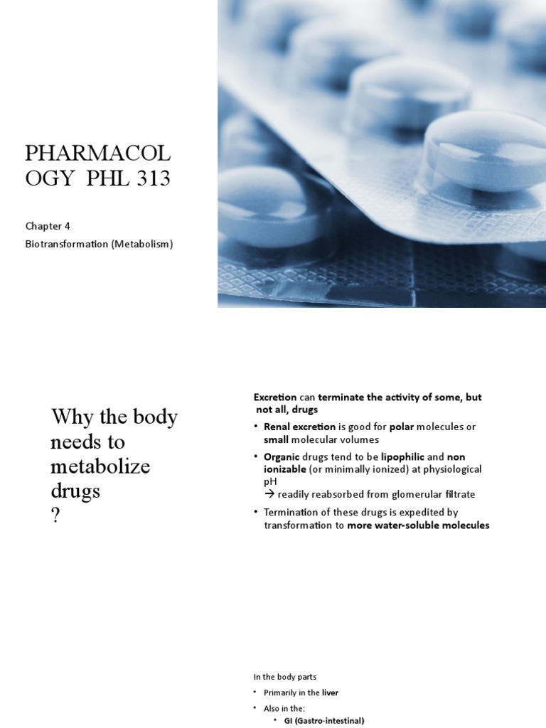 Basic Principles in Pharmacology - Lecture 4 | PDF | Drug Metabolism ...