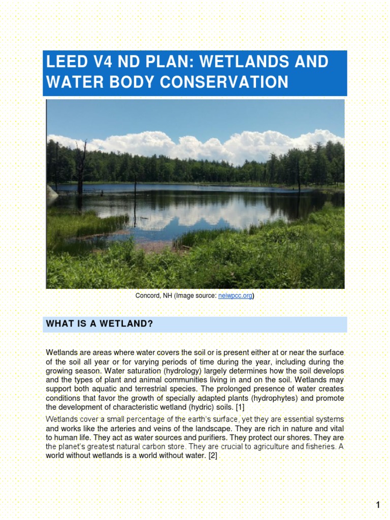 Wetland Water Conservation | PDF | Wetland | Natural Environment