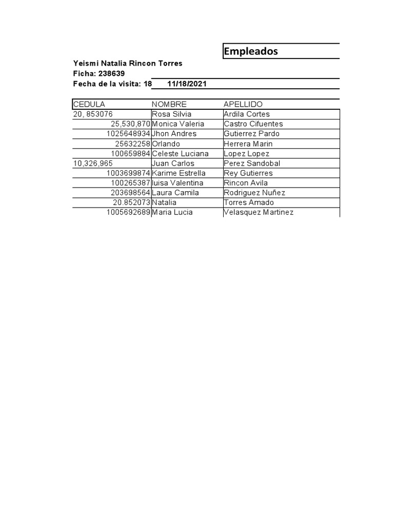 Informe de Vicita | PDF