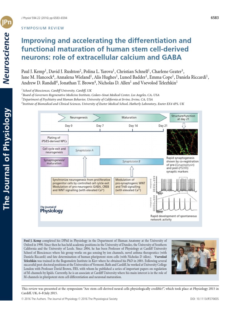 Kemp Et Al-2016-The Journal of Physiology | PDF | Calcium In Biology ...