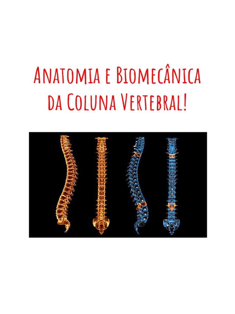 Anatomia e Biomecânica Da Coluna | PDF | Coluna vertebral | Anatomia