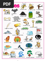 Hatchet: Chapters 4 to 6 Summary | PDF