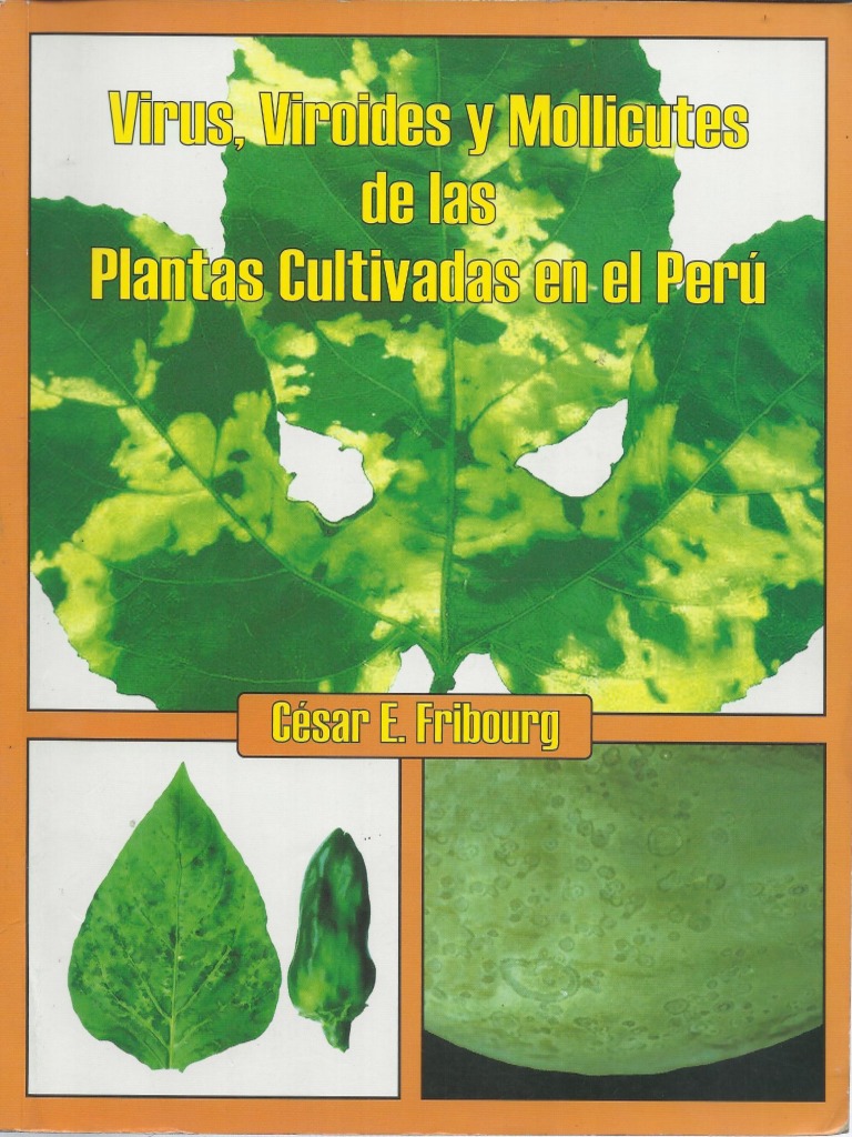 Virus, Viroides y Mollicutes V 2.0 | PDF