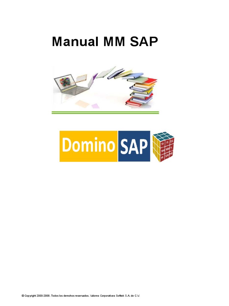 Gratis Manual para Sap MM | PDF | Planificación de recursos ...