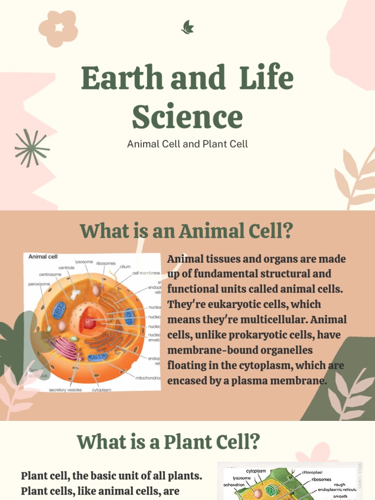 Earth & Life Science | PDF | Cell (Biology) | Eukaryotes