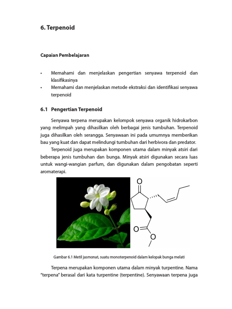 Terpenoid | PDF | Kesehatan Holistik | Teknologi & Rekayasa