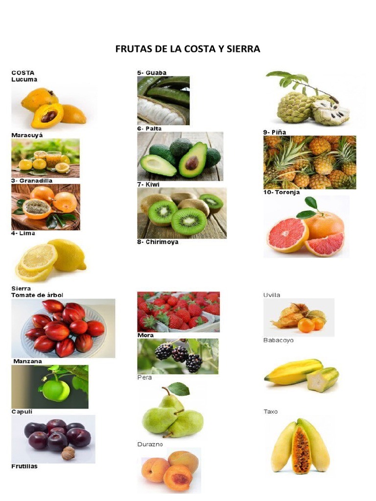Frutas de La Costa y Sierra | PDF