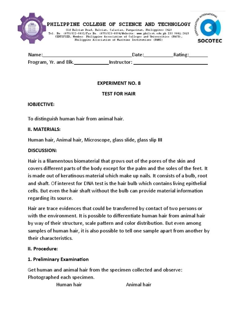 Laboratory Activity No 8 Forensic | PDF | Hair | Biology