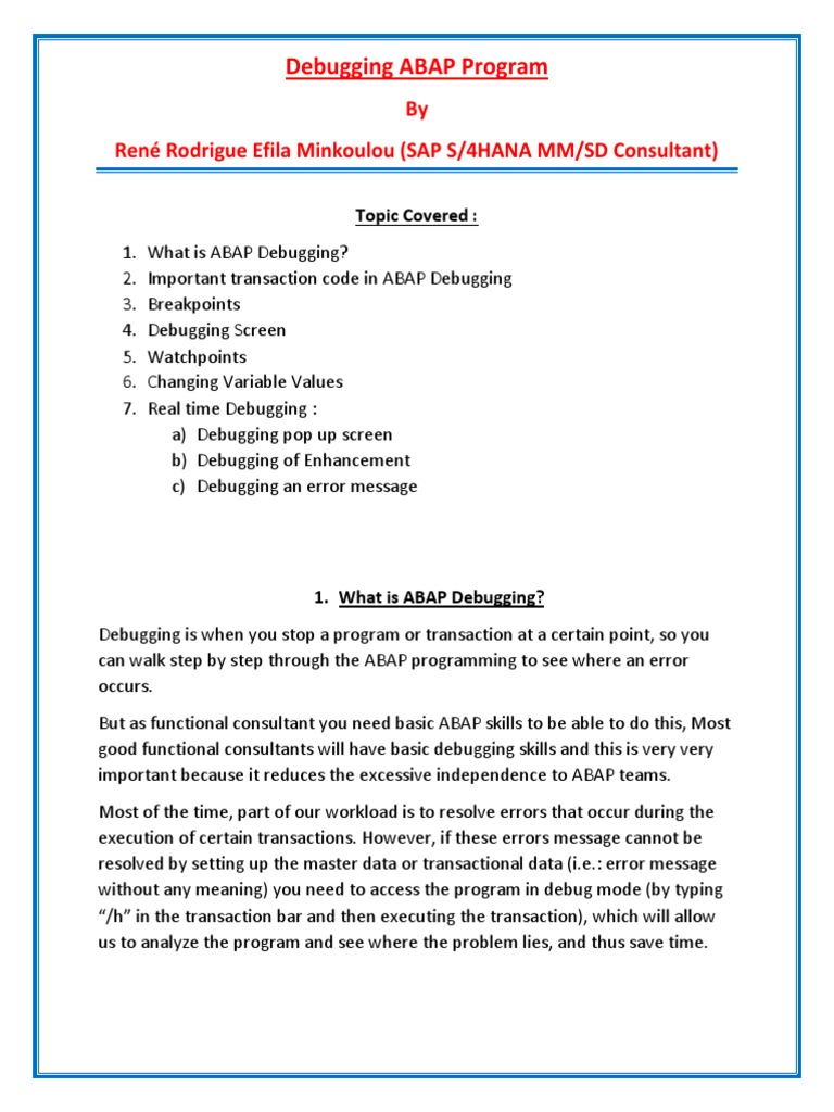 Debugging ABAP Program | PDF | Debugging | Information Technology