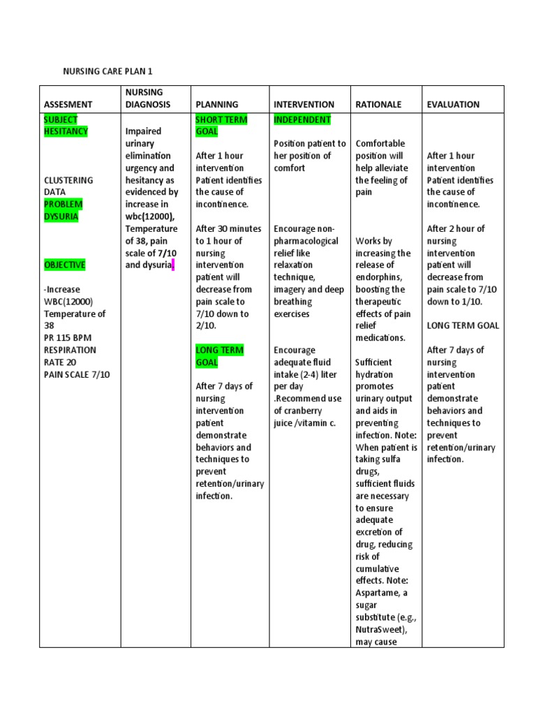 Nursing Care Plan 1herlin NCP Assinment Nov132021 | PDF | Urinary ...