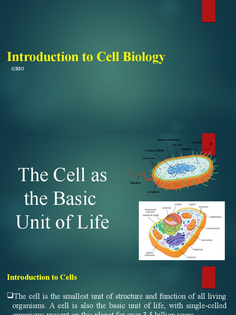Introduction To Cell Biology | PDF | Cell (Biology) | Life