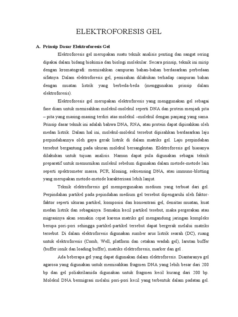Prinsip Dasar Elektroforesis Gel | PDF