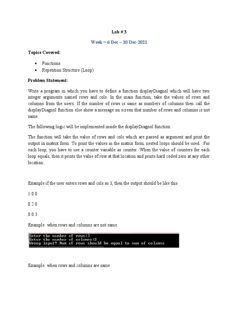 CS201P Problem Statement | PDF | Subroutine | Parameter (Computer Programming)