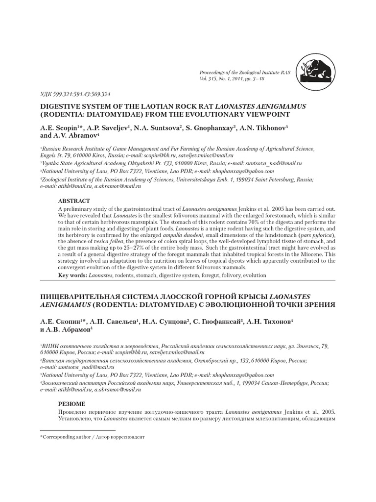 Aenigmamus (Rodentia: Diatomyidae) С Эволюционной Точки Зрения | PDF ...