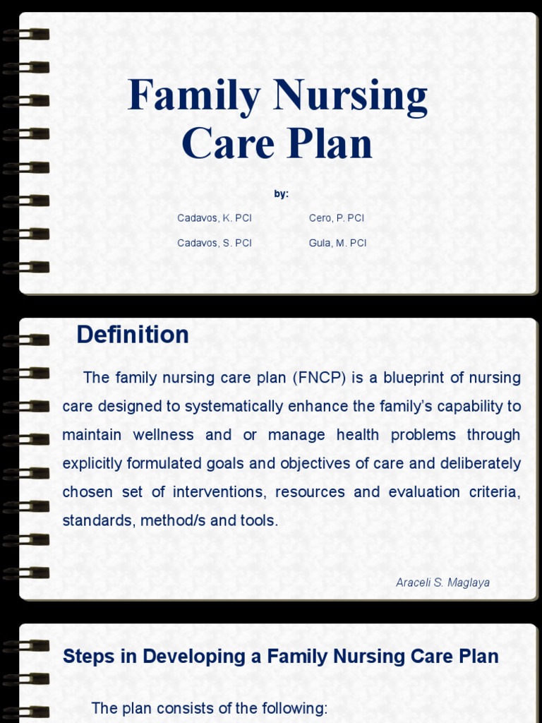 Family Nursing Care Plan | PDF | Nursing | Health Sciences
