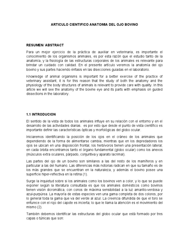 Anatomía del Ojo Bovino y Sus Partes | PDF | Ojo humano | Ojo