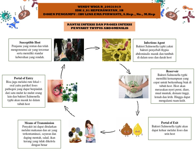 Rantai Typhus Abdominalis - Idk 2 - S1kep 3b - Windy Wiga - 20631919 | PDF
