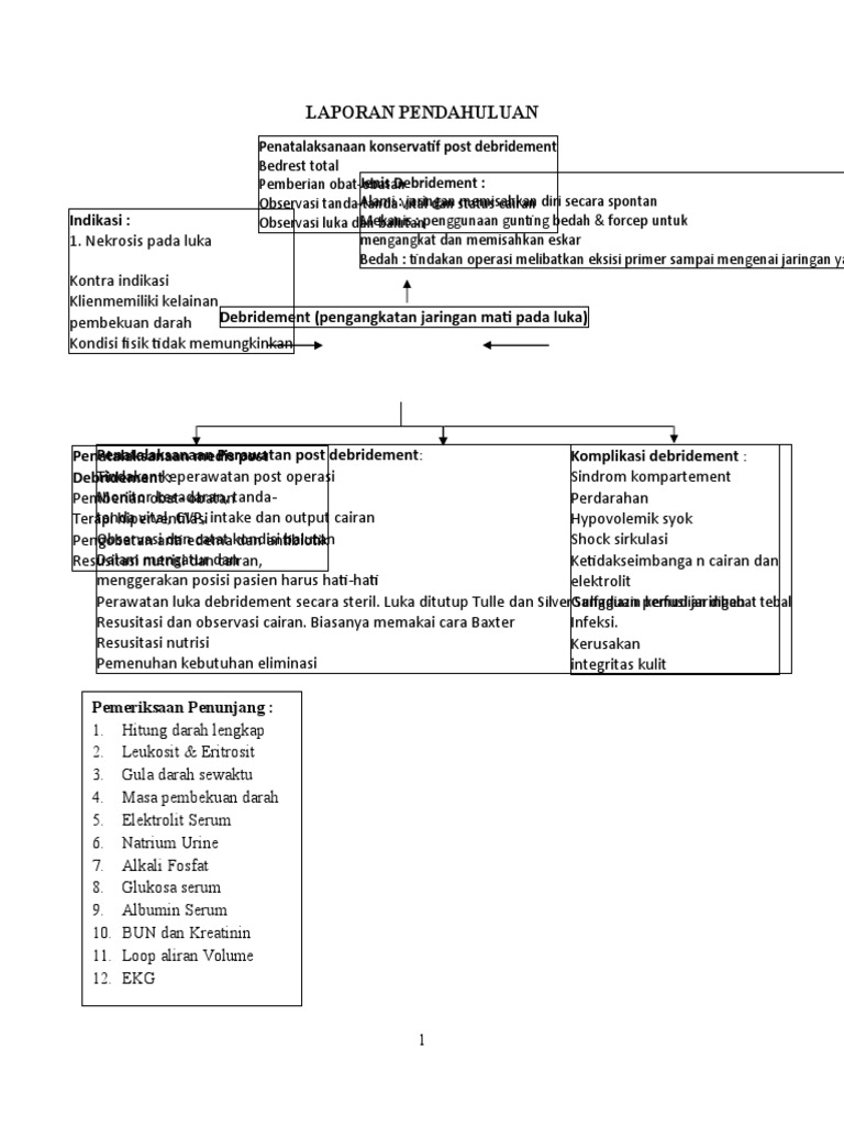 LP Debridement | PDF