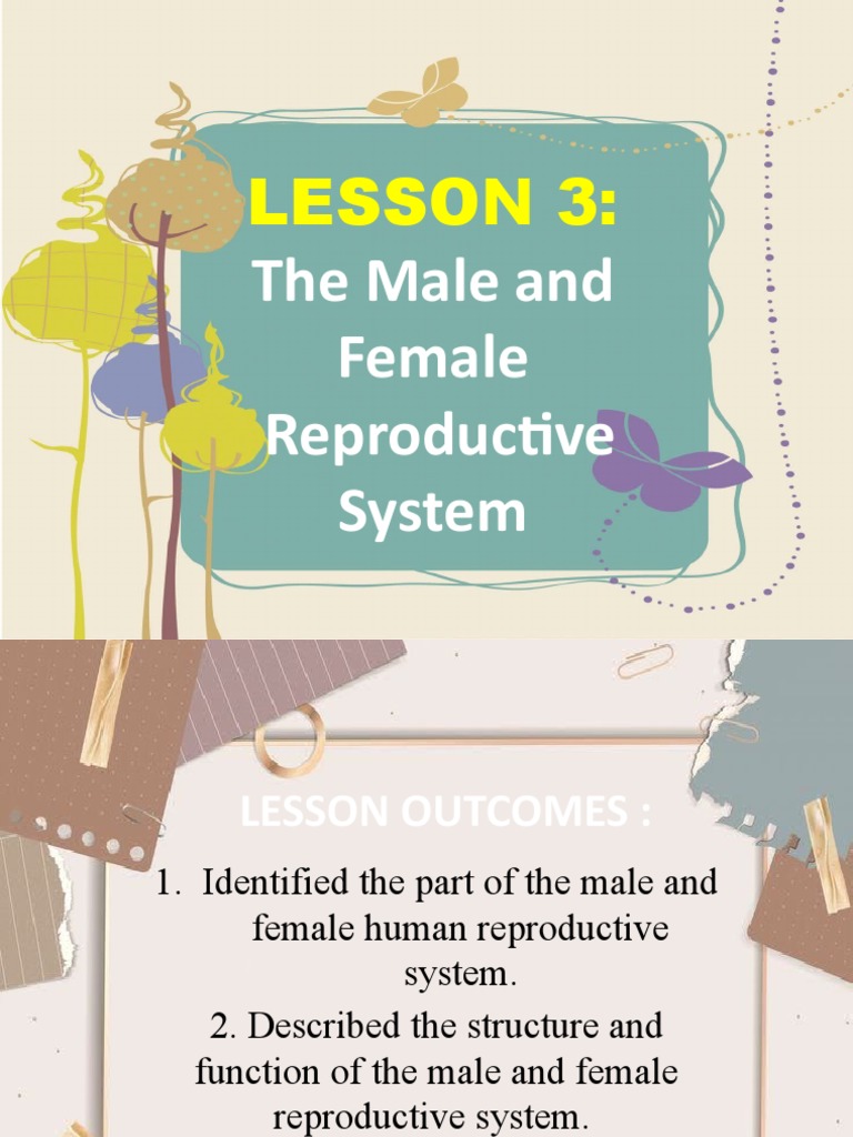 Lesson 3 Male and Female Rep. System | Download Free PDF | Reproductive ...