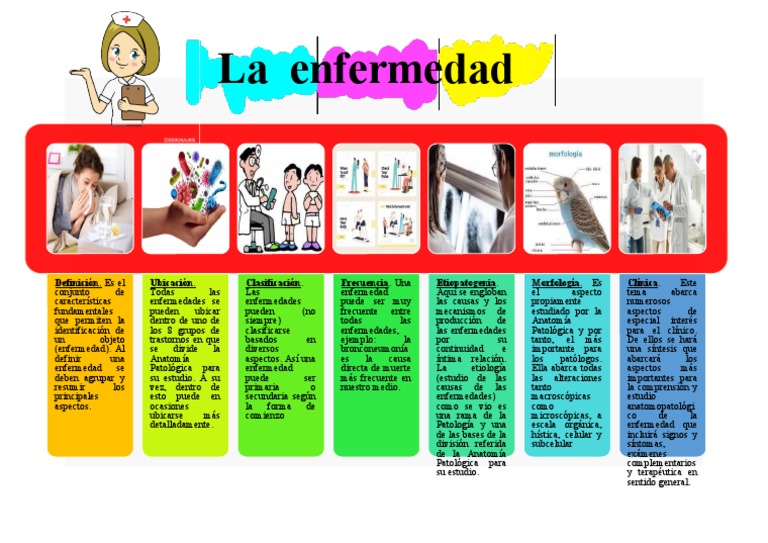 Organizador Grafico Sobre La Enfermedad | PDF | Patología | Cuidado de la salud