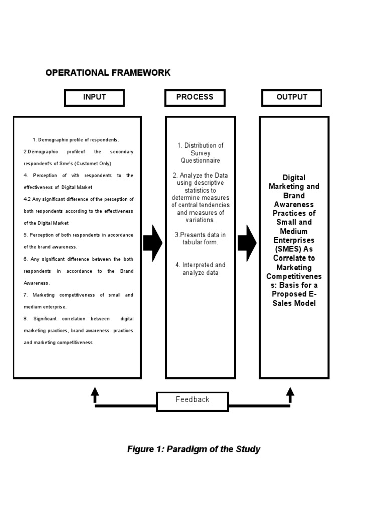 Operational Framework: Process Output Input | PDF | Marketing | Small ...