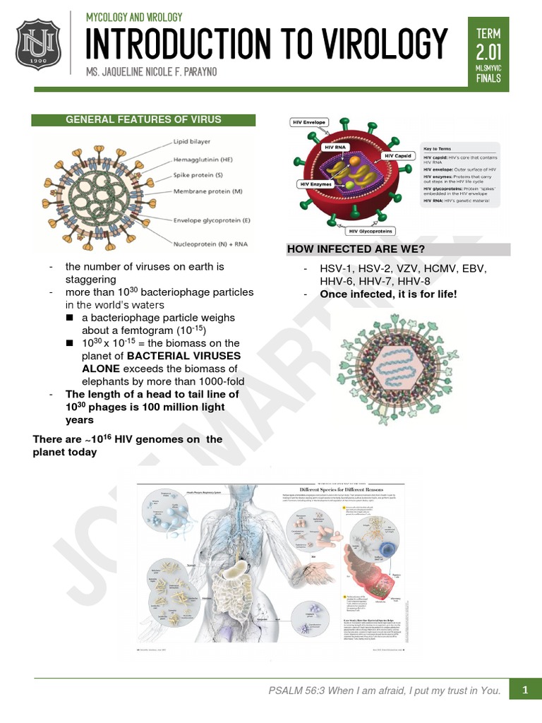 2.01 Introduction To Virus | PDF | Virus | Microbiology