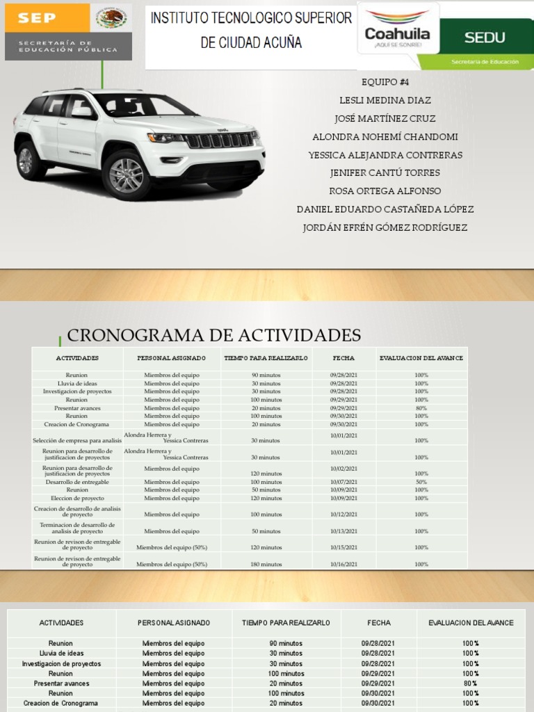 DYLSA Desarrollo de Analisis | PDF