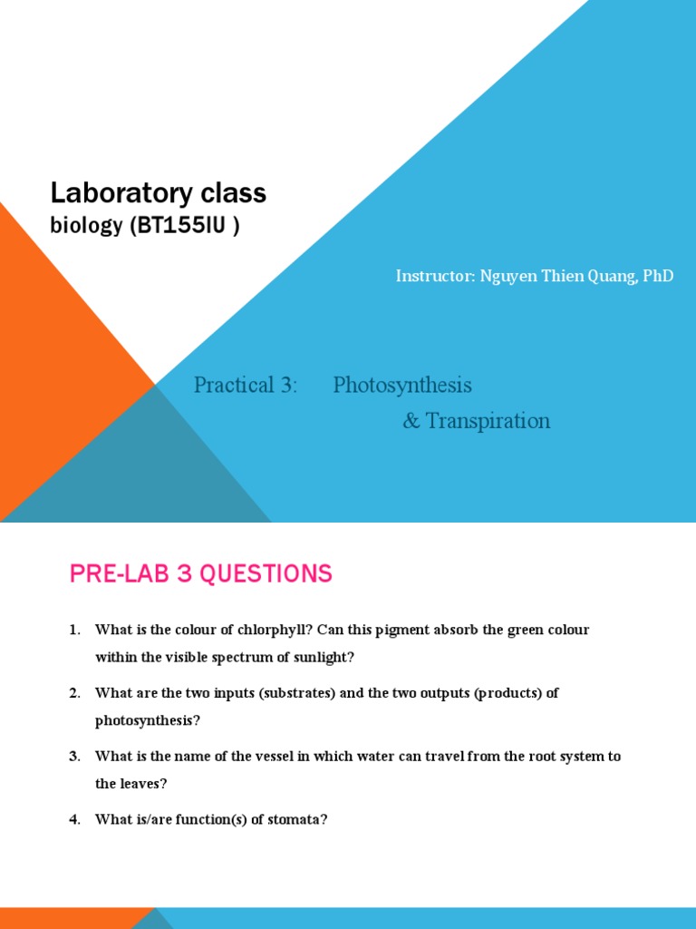 Photosynthesis and Transpiration Lab Guide | PDF | Photosynthesis | Leaf