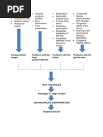 Pathophysiology: Cesarean Section | PDF | Childbirth | Caesarean Section