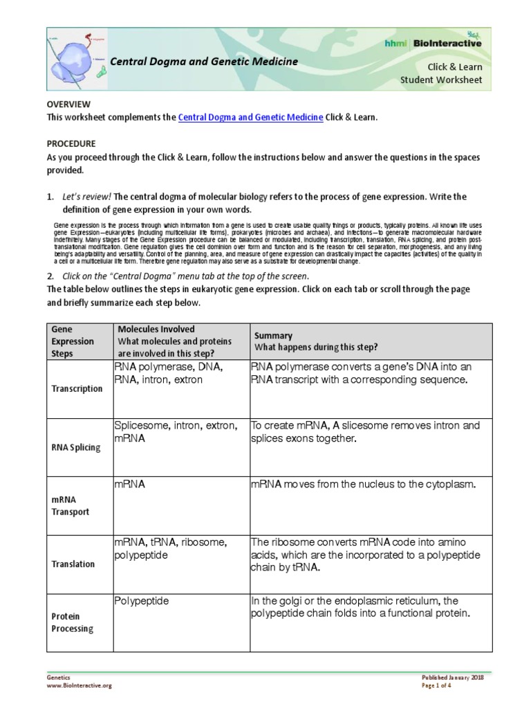 Central Dogma and Genetic Medicine | PDF | Gene Expression | Messenger Rna