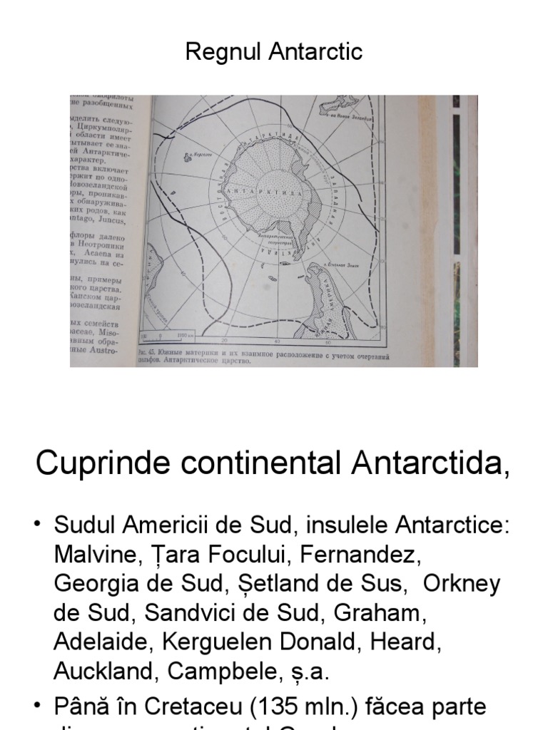 Regnul Antarctic | PDF