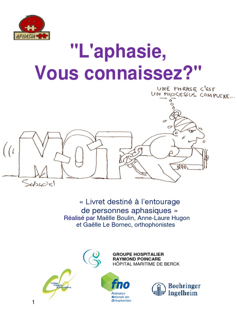 Aphasie Brochure Complete | Download Free PDF | Aphasie | Épilepsie