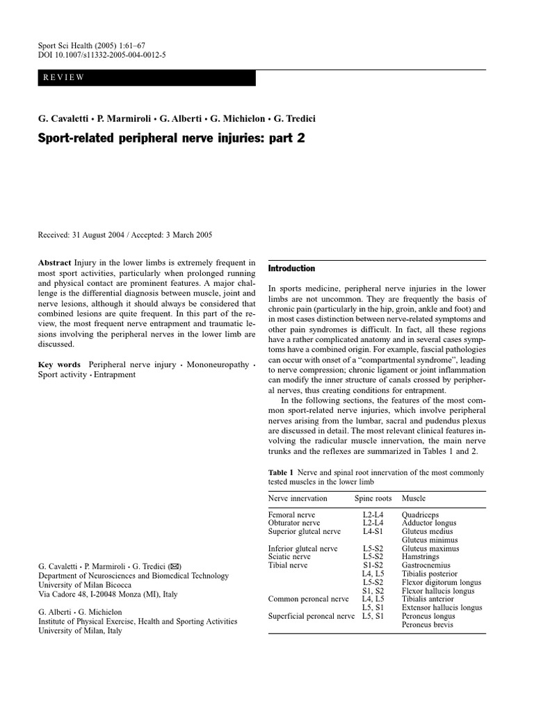 Sport Related Peripheral Nerve Injuries | PDF | Human Leg | Foot