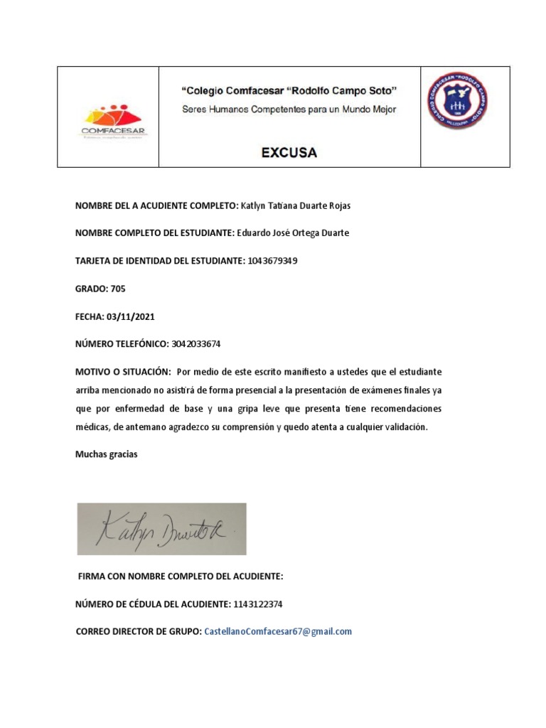 Formato de Excusa | PDF