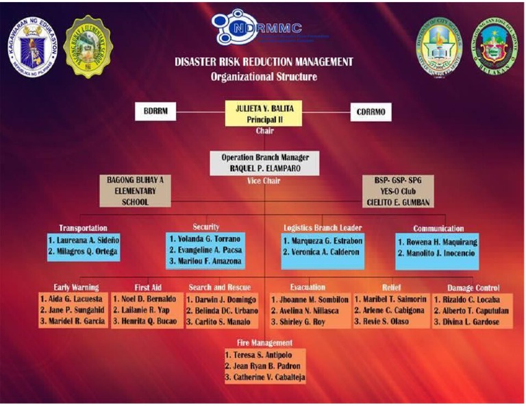 BDRRMC Sample Structure | PDF