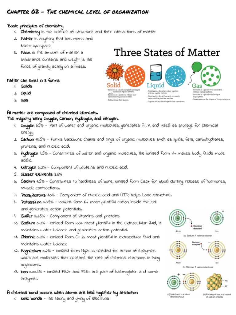 Chapter 02 - The Chemical Level of Organization | PDF | Carbohydrates ...